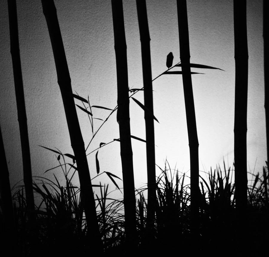 Images of China by Neal Parent | Neal Parent Photography
