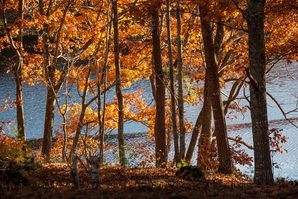Maine in Fall | Neal Parent Photography